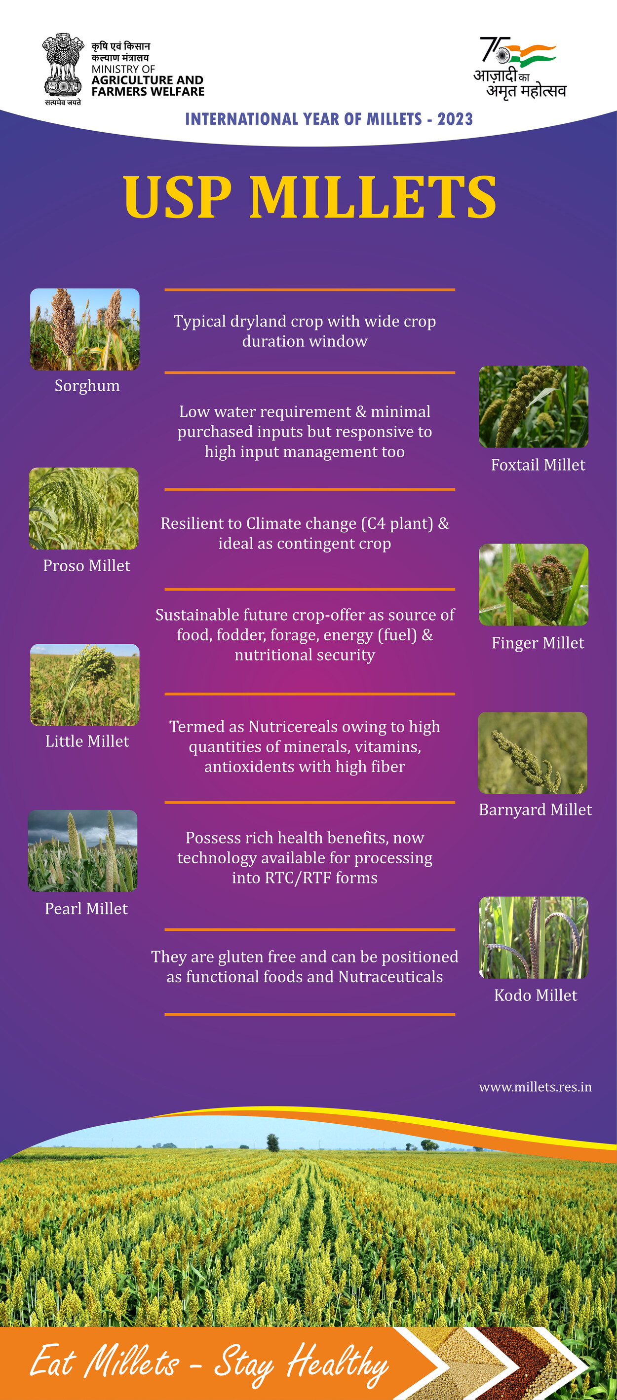 International Year of Millets, 2023 :: Consulate General of India ...